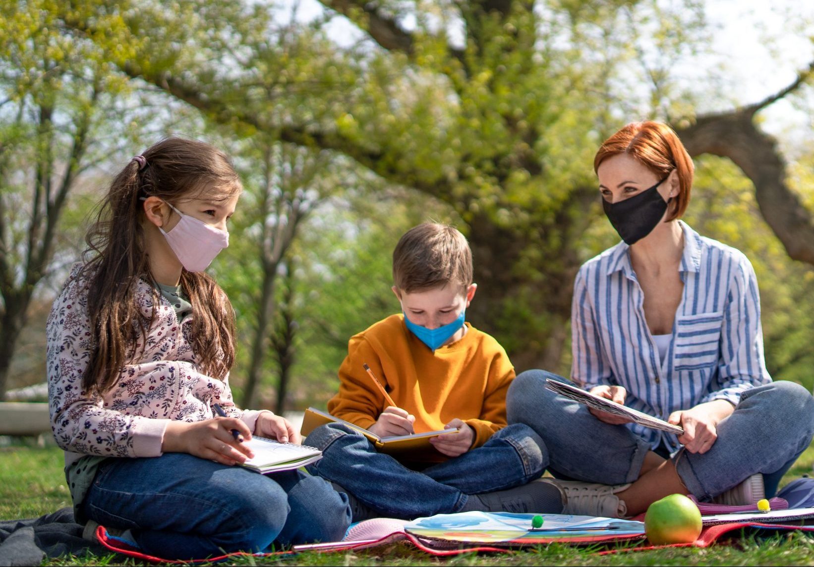 Volunteer Science: ES Observer Role – Eclipse Soundscapes